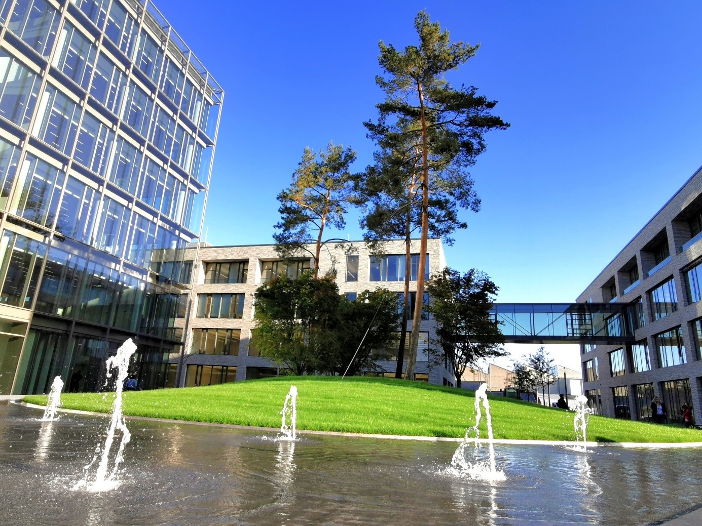 Hochschule Heilbronn - MAFINEX Gründerverbund